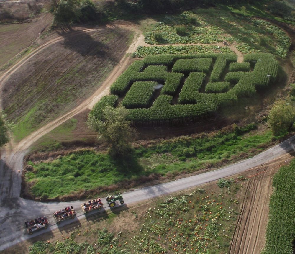Pumpkin Patch Aerial Pictures
