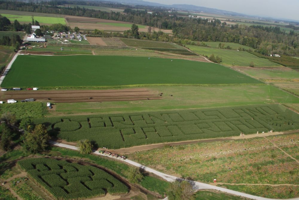 Pumpkin Patch Aerial Pictures