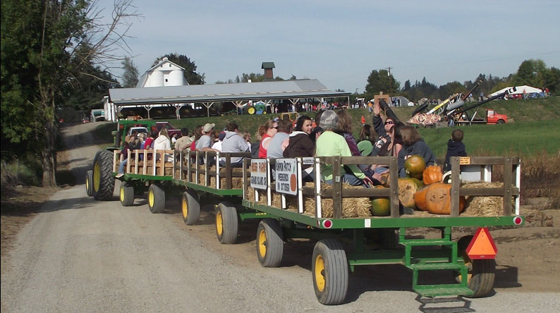 Heiser Farms, Pumpkin Patch